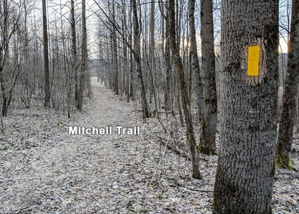 Hiking the Mitchell Trail at Ohiopyle State Park
