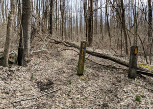 Hiking the Mitchell Trail at Ohiopyle State Park