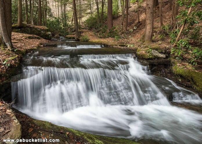 How to Find Round Island Run Falls in the Sproul State Forest