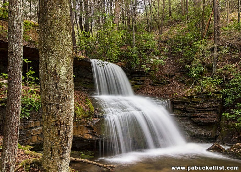 How to Find Round Island Run Falls in the Sproul State Forest