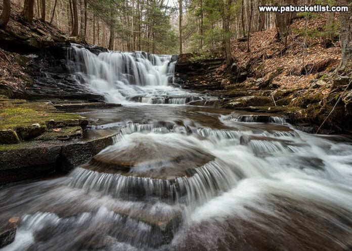 Exploring Rusty Run Falls in the Loyalsock State Forest
