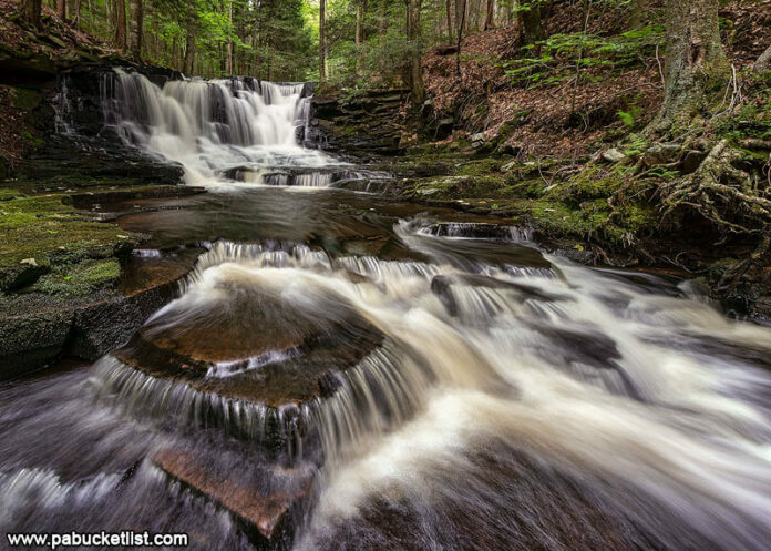 Exploring Rusty Run Falls in the Loyalsock State Forest