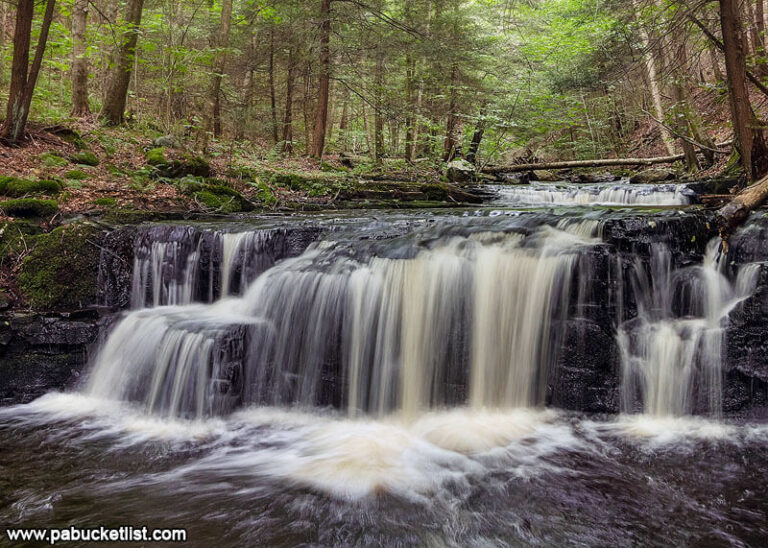 Exploring Rusty Run Falls in the Loyalsock State Forest
