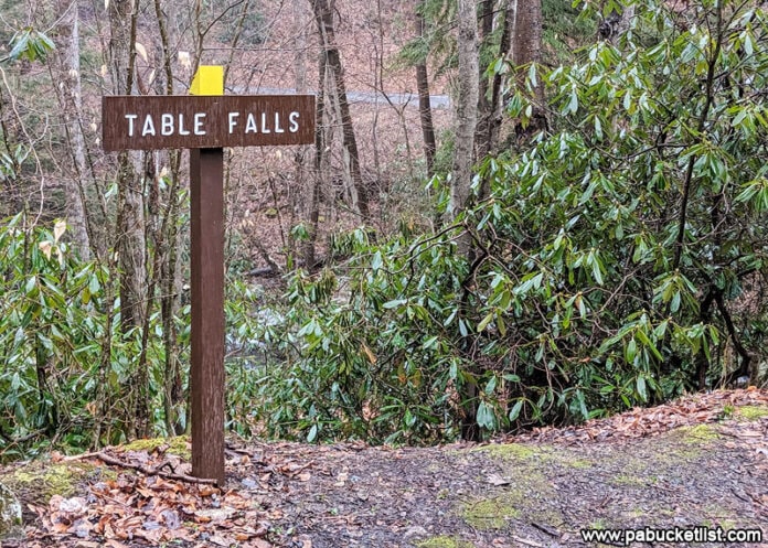 How to Find Table Falls in the Quehanna Wild Area