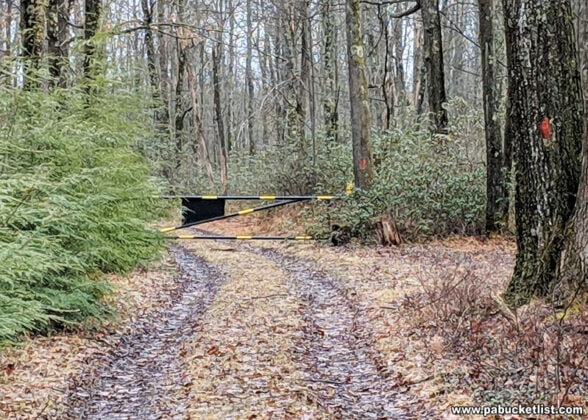 How to Find Yost Run Falls in the Sproul State Forest
