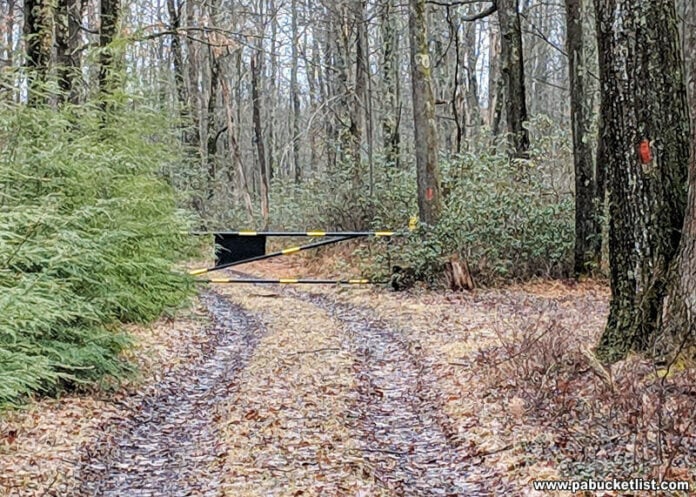 How to Find Yost Run Falls in the Sproul State Forest