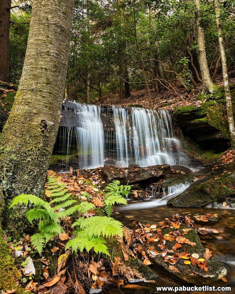 How to Find Kyler Fork Falls in the Sproul State Forest