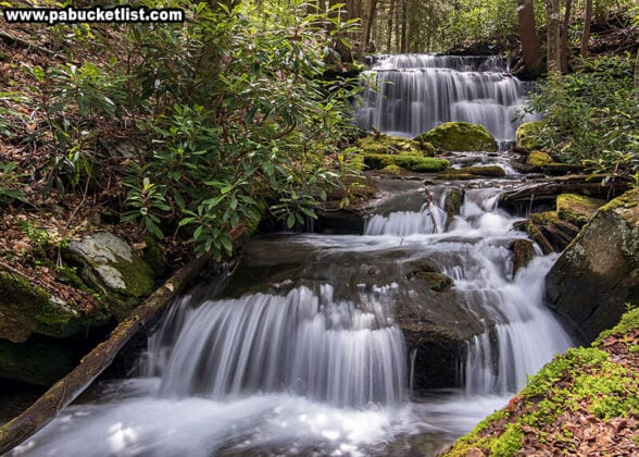 16 Must-See Attractions in the Sproul State Forest - PA Bucket List