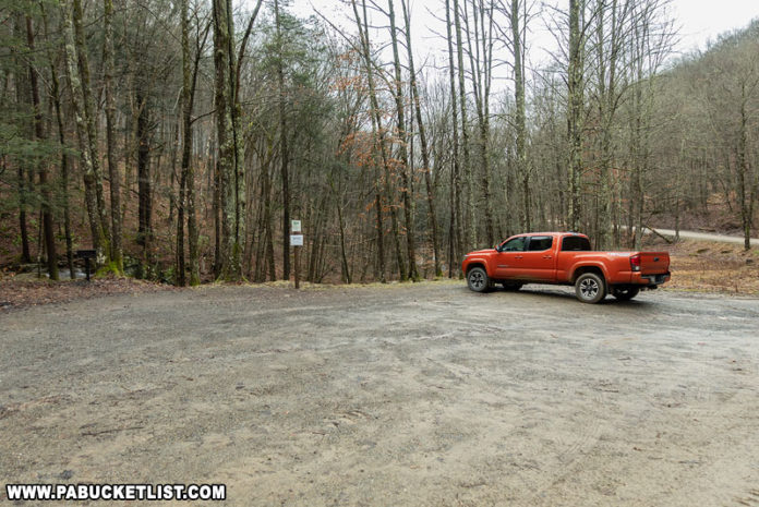 Exploring Dry Run Falls in the Loyalsock State Forest