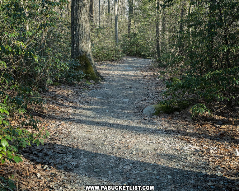 Exploring Beam Rocks Overlook in the Forbes State Forest