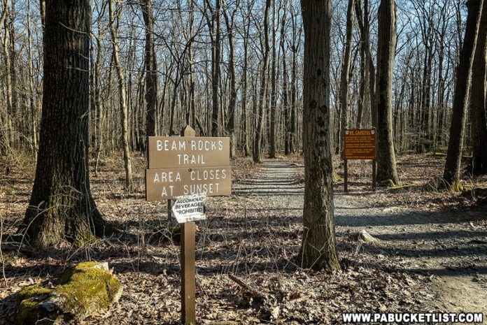 Exploring Beam Rocks Overlook in the Forbes State Forest