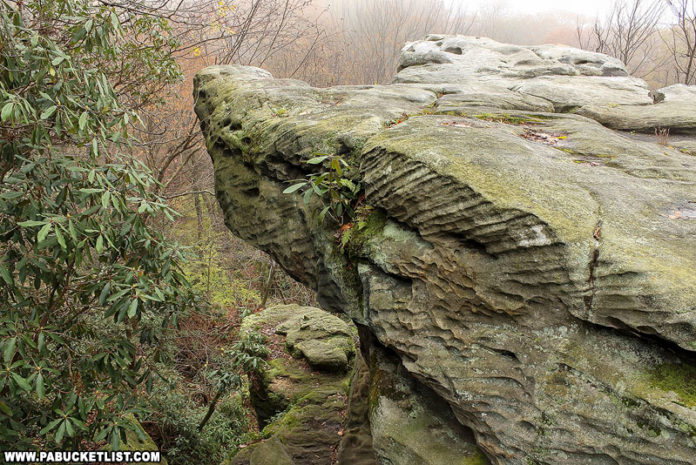 Exploring Beam Rocks Overlook in the Forbes State Forest