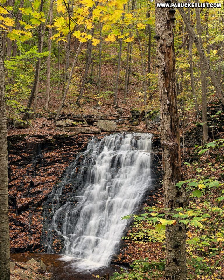 28 Must-See Waterfalls in Sullivan County PA