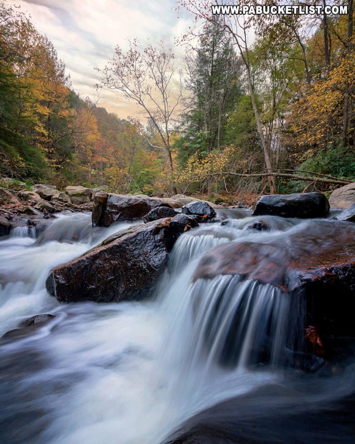 Hiking the Meadow Run Trail at Ohiopyle State Park
