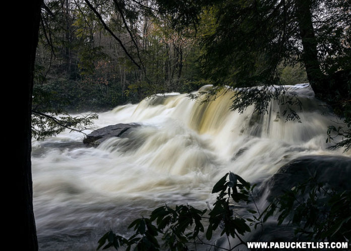 Hiking the Meadow Run Trail at Ohiopyle State Park
