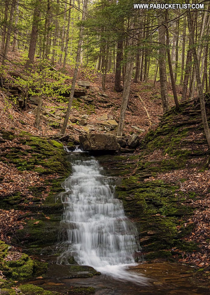 Exploring Alpine Falls in the Loyalsock State Forest
