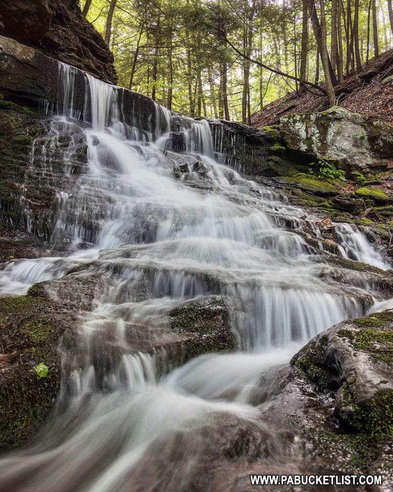 Exploring Alpine Falls in the Loyalsock State Forest