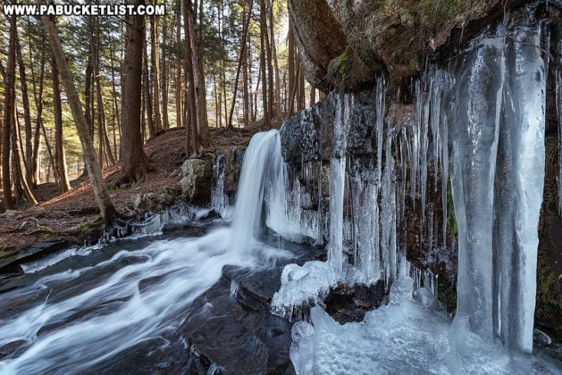 Exploring Dutchman Falls in the Loyalsock State Forest