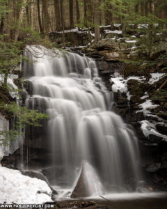 Exploring Dutchman Falls in the Loyalsock State Forest