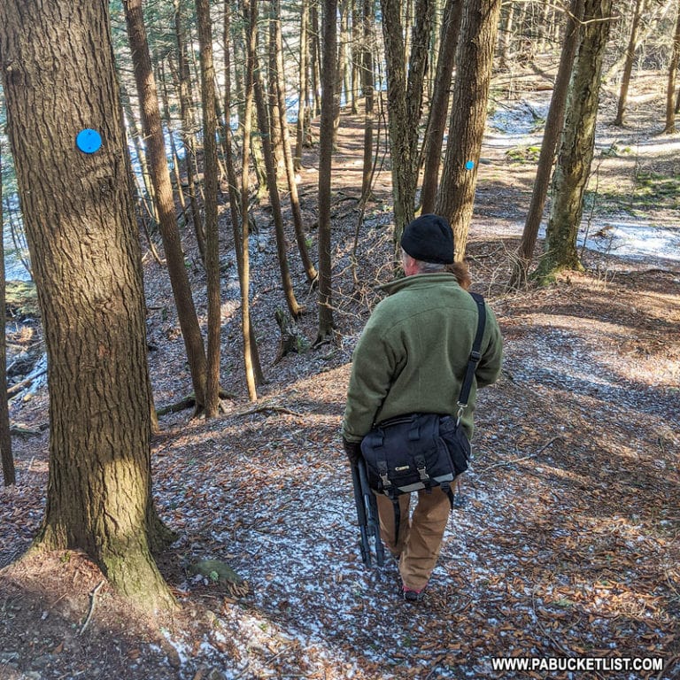 Exploring Dutchman Falls in the Loyalsock State Forest