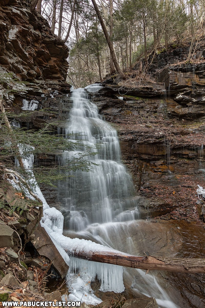 Exploring Angel Falls in the Loyalsock State Forest
