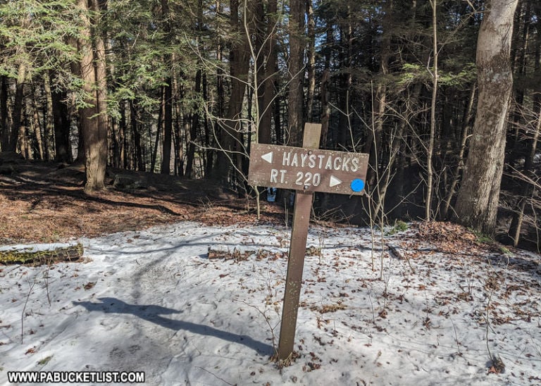 Exploring Dutchman Falls in the Loyalsock State Forest