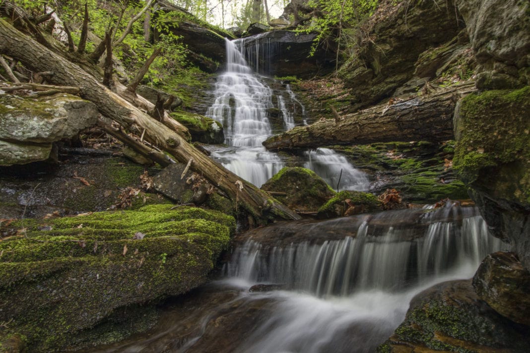 Exploring Dutchman Falls in the Loyalsock State Forest