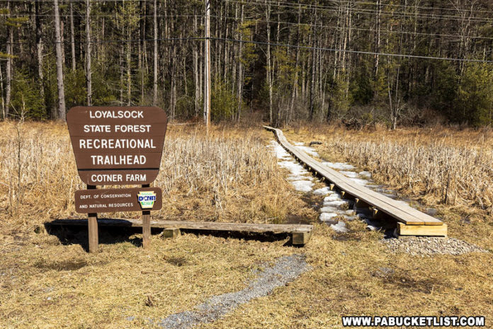 Exploring Jacoby Falls in the Loyalsock State Forest