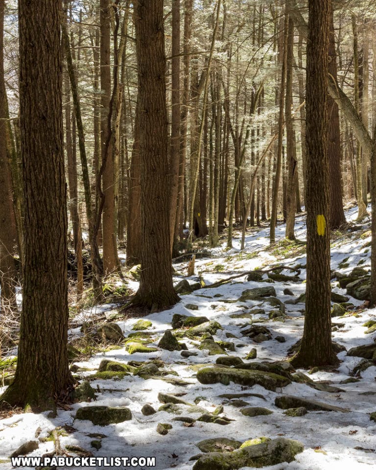 Exploring Jacoby Falls in the Loyalsock State Forest