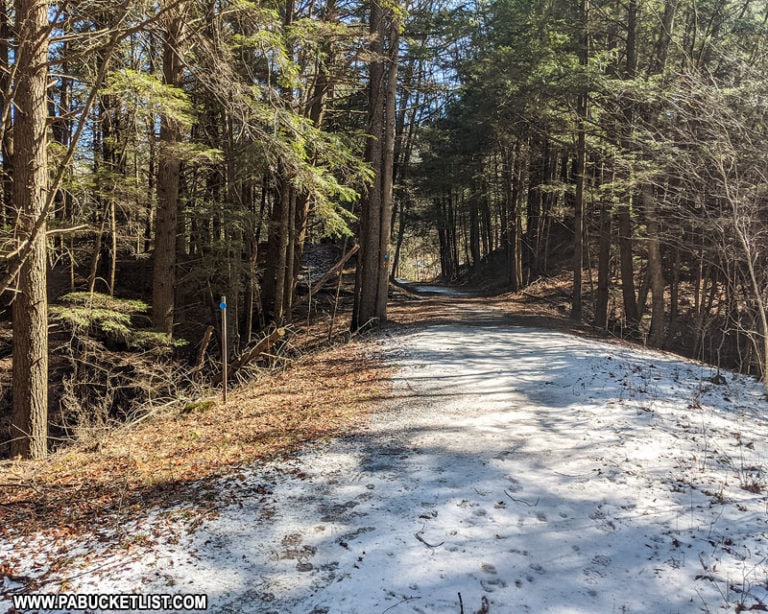 Exploring Dutchman Falls in the Loyalsock State Forest