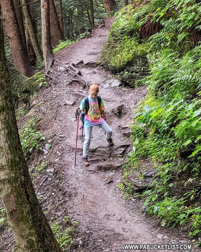 The Best Trails, Vistas, and Waterfalls in the PA Grand Canyon