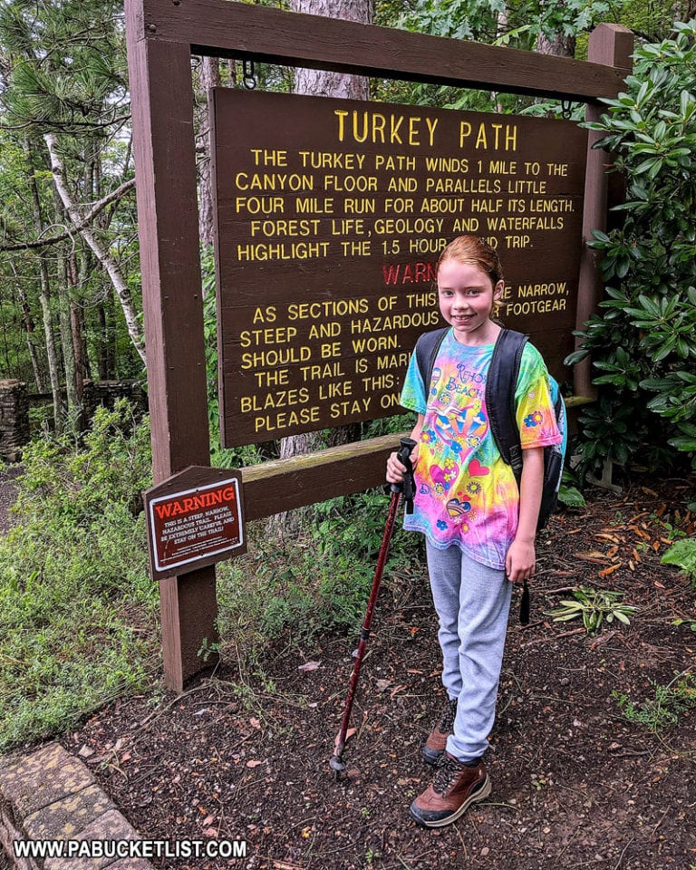 Exploring the Turkey Path at Leonard Harrison State Park