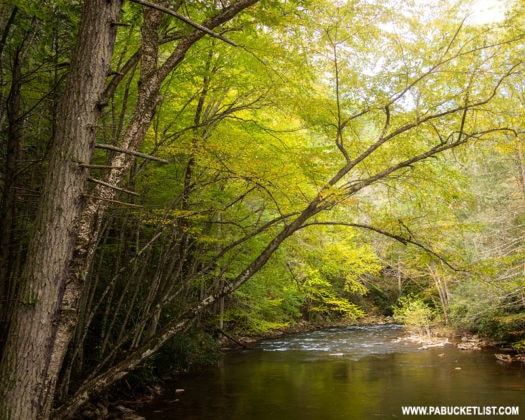 Exploring Rainbow Falls at Trough Creek State Park