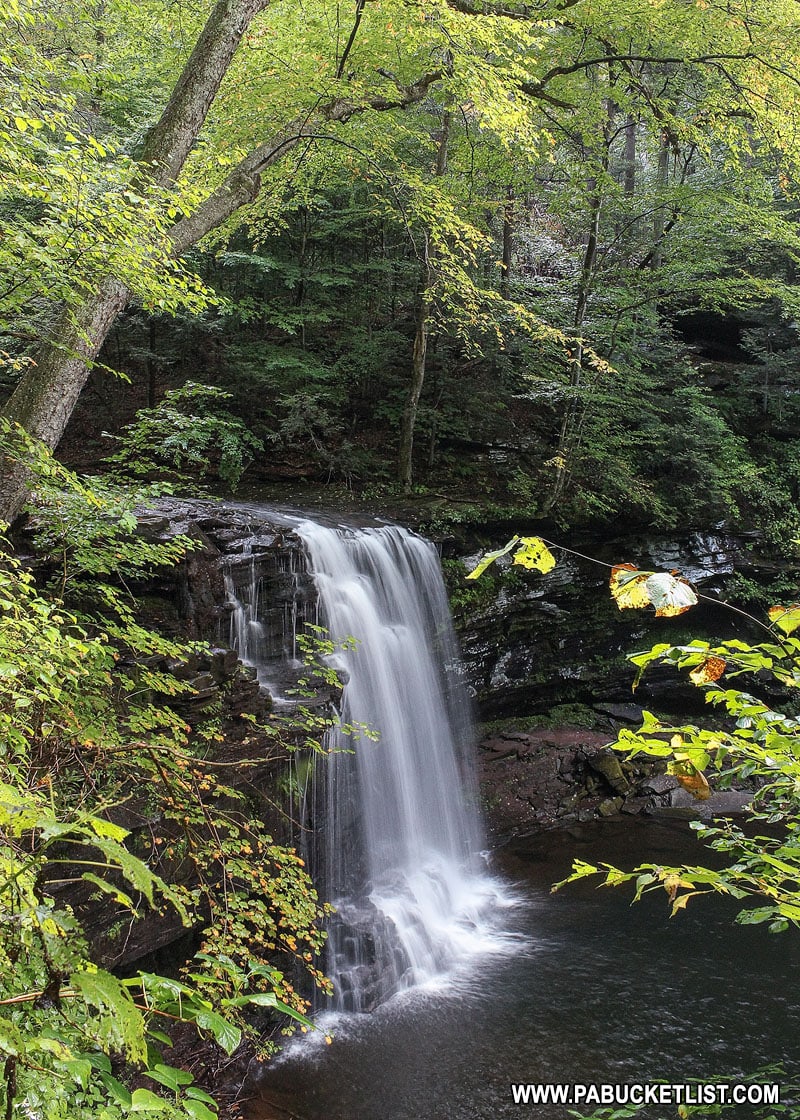 Exploring the Falls Trail at Ricketts Glen State Park
