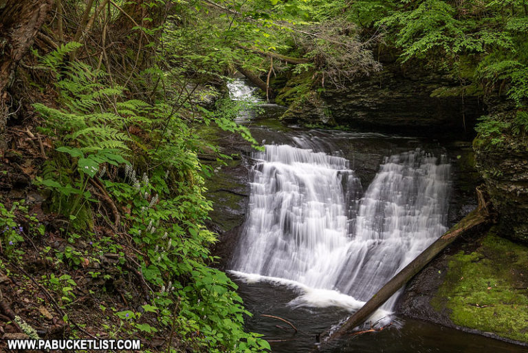 The Best Waterfalls in the Poconos Road Trip