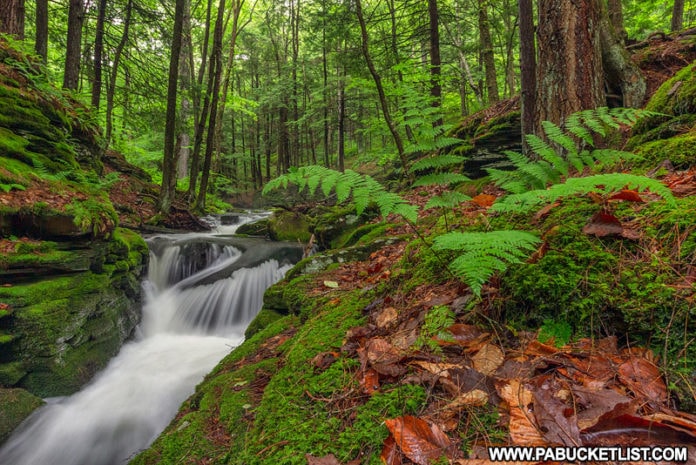Exploring Mine Hole Run Falls in Tioga County