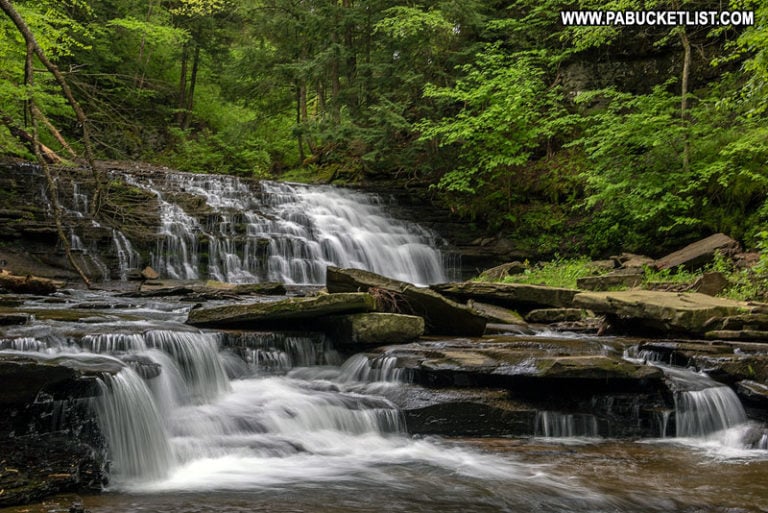 Exploring the Waterfalls at Salt Springs State Park