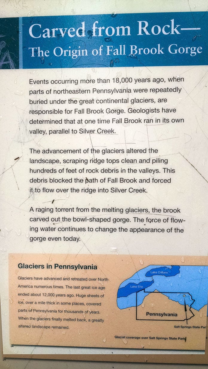 Exploring the Waterfalls at Salt Springs State Park