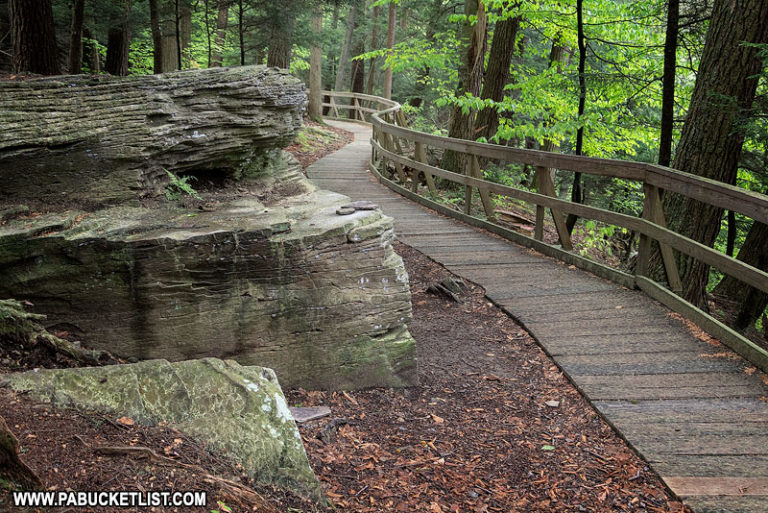 Exploring the Waterfalls at Salt Springs State Park
