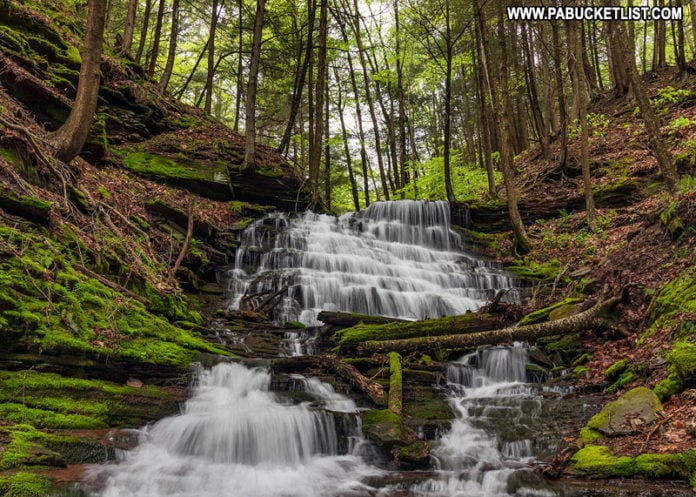 Exploring the Waterfalls on Bear Run in Tioga County