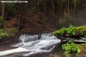 Exploring Wykoff Run Falls in the Quehanna Wild Area