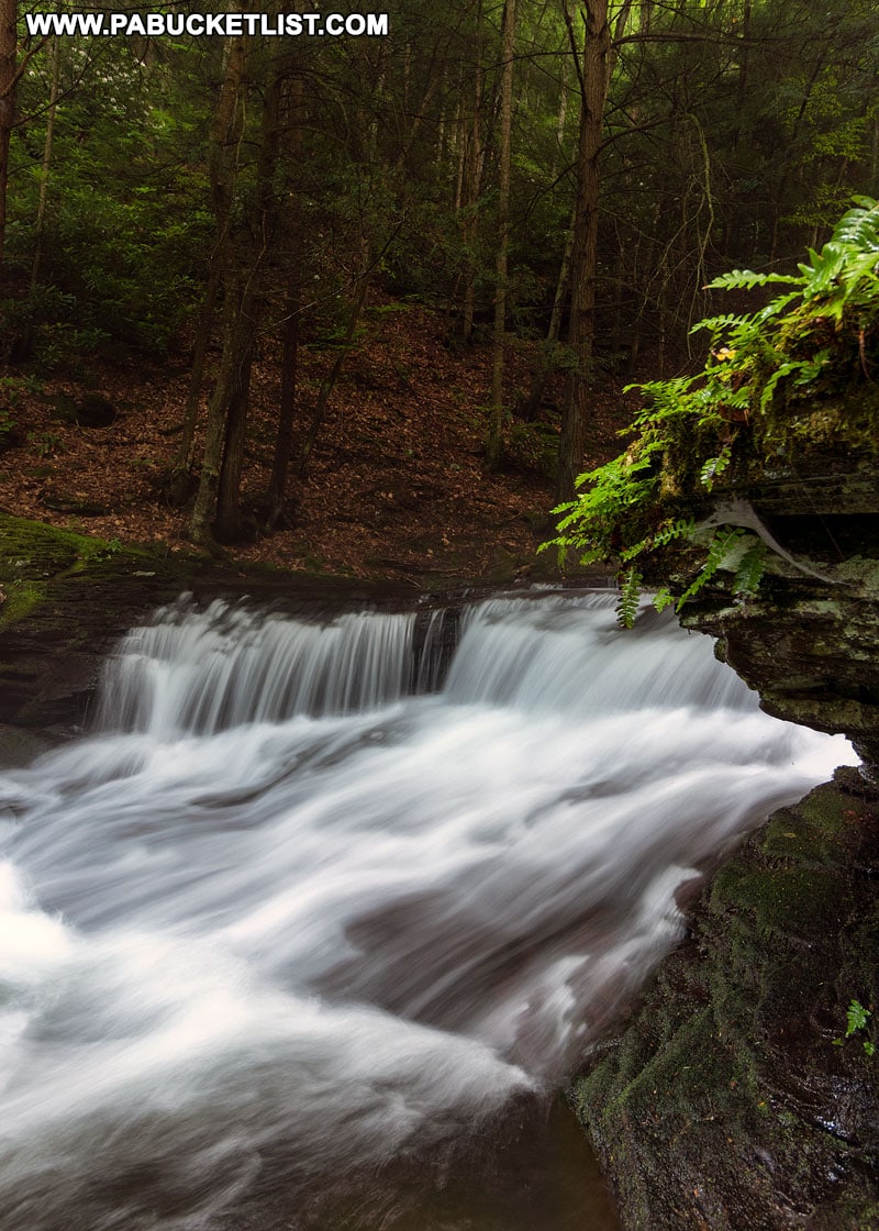 Exploring Wykoff Run Falls in the Quehanna Wild Area