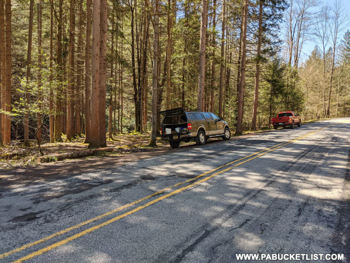 Exploring Wykoff Run Falls in the Quehanna Wild Area
