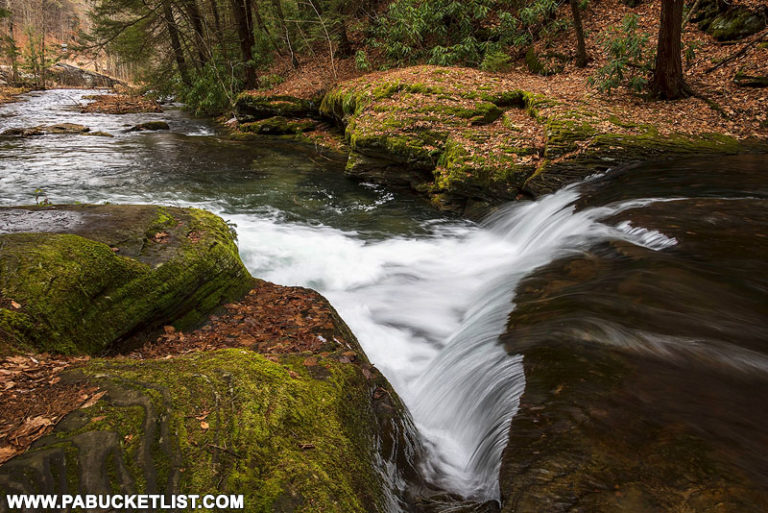 Exploring Wykoff Run Falls in the Quehanna Wild Area