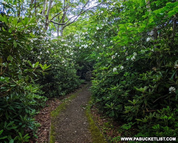 Exploring Mount Davis - The Highest Point in Pennsylvania