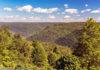 Exploring High Knob Overlook in Sullivan County