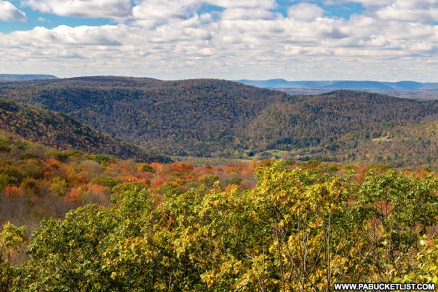 Exploring Rusty Run Falls in the Loyalsock State Forest