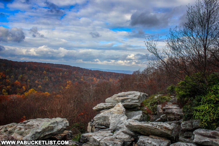 8 Must-See Attractions in the Forbes State Forest