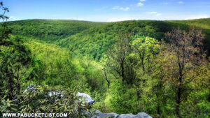 Exploring Wolf Rocks Overlook in the Forbes State Forest