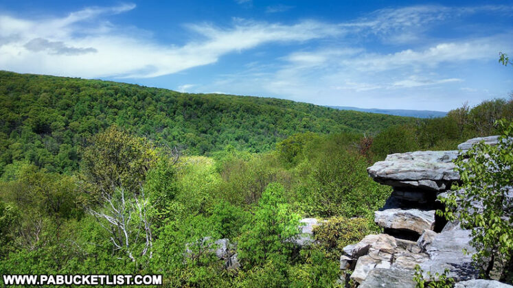 Exploring Wolf Rocks Overlook in the Forbes State Forest